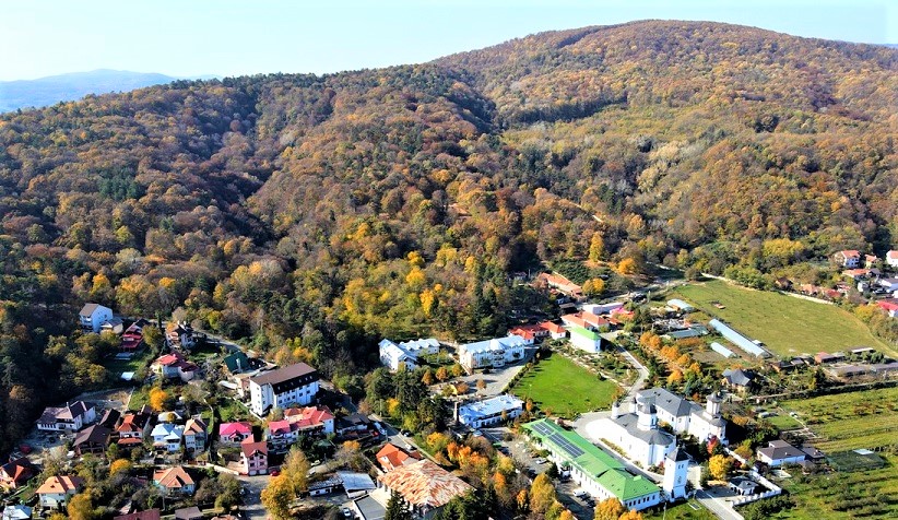 Aviz favorabil pentru proiectul de amenajare a unei păduri-parc pe ...
